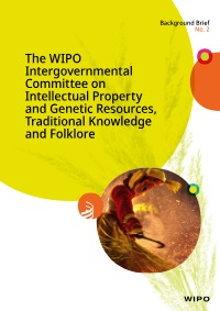 The WIPO Intergovernmental Committee on Intellectual Property and ...